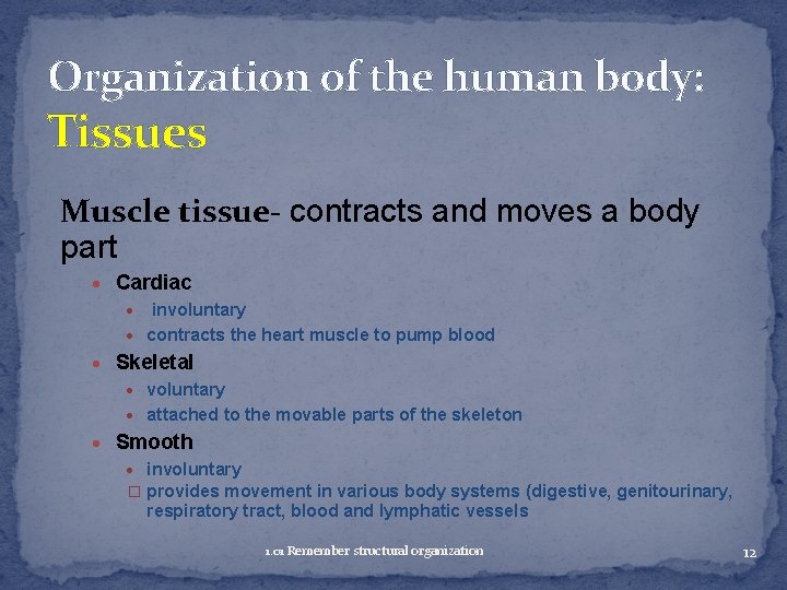 Human Body Anatomy and Physiology Biology large branch