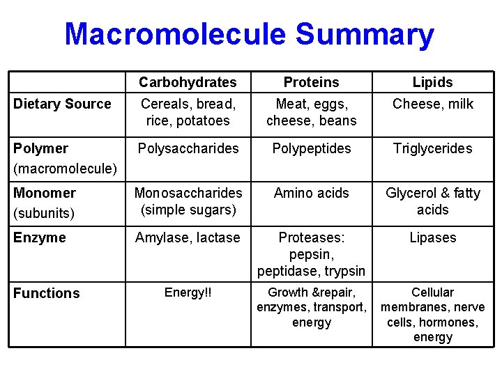 Food and Nutrients Macromolecules Carbohydrates Proteins Lipids Chains