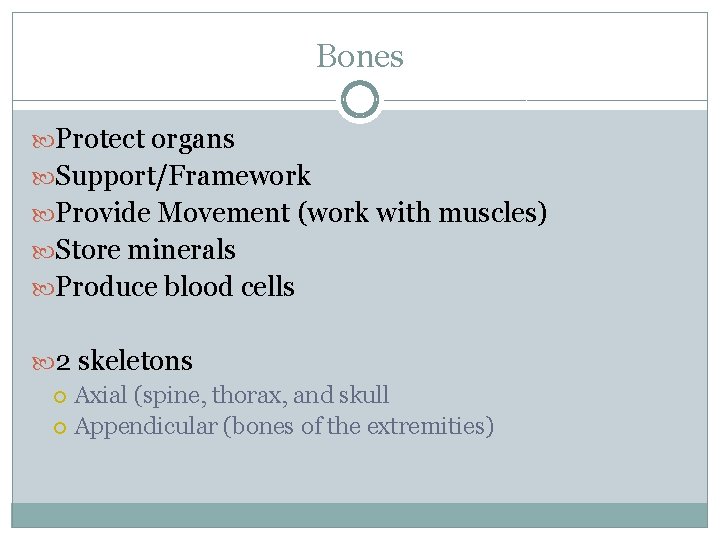 General Muscle Bone Articulation Anatomy COACH RYAN Skeletal