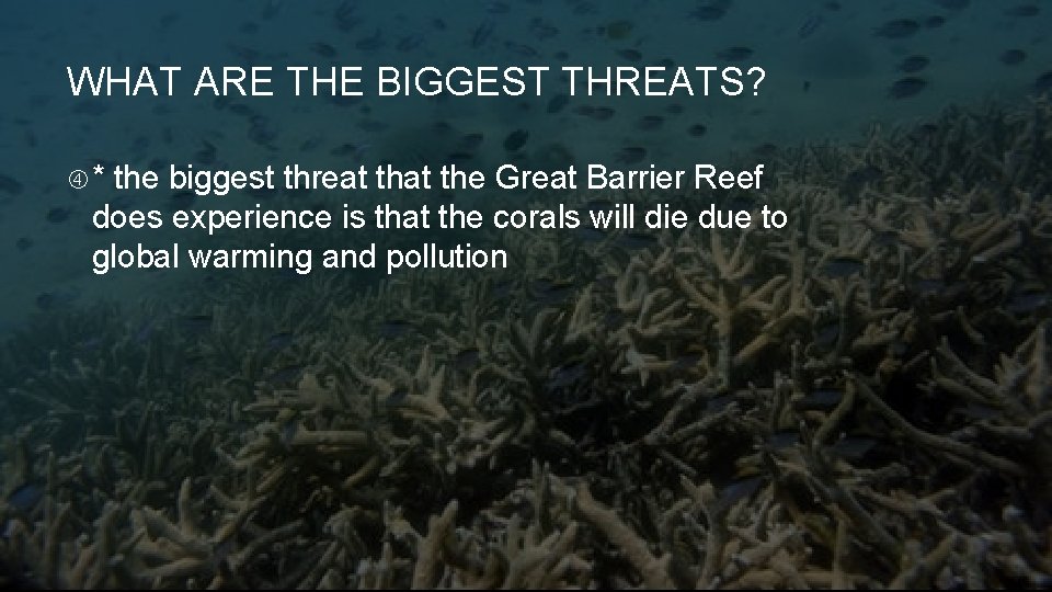 THE GREAT BARRIER REEF By The destination that