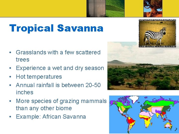 Biomes of the World TEK Identify characteristics of