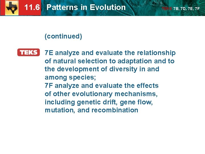 11 6 Patterns in Evolution TEKS 7 B