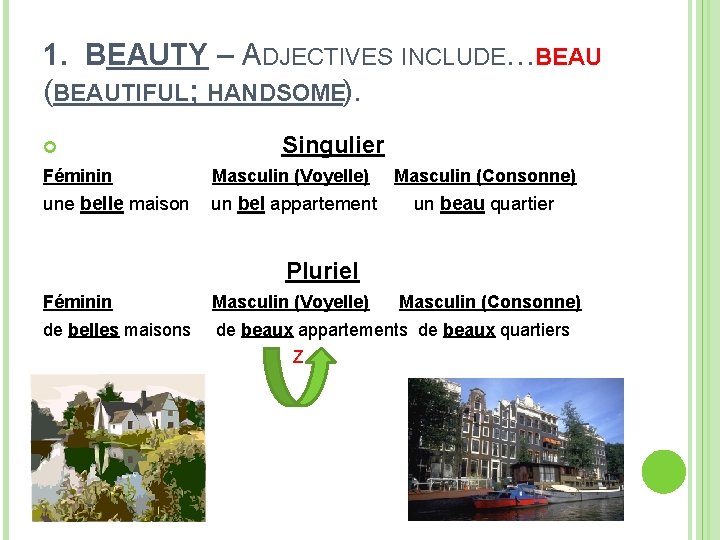 LES ADJECTIFS SPCIAUX BAGS Franais 1 In French