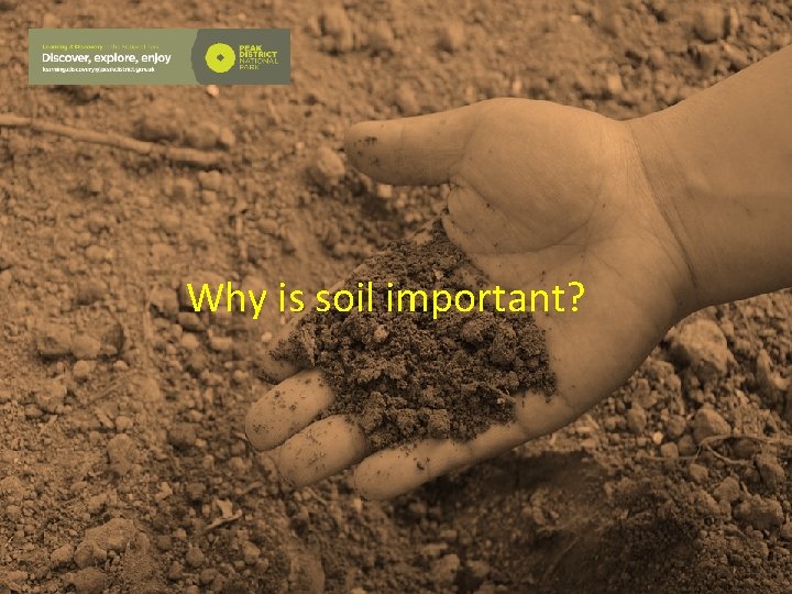 Whats so special about soils Why is soil