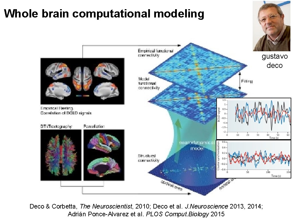 Alterations Of Functional Connectivity In The Human Brain