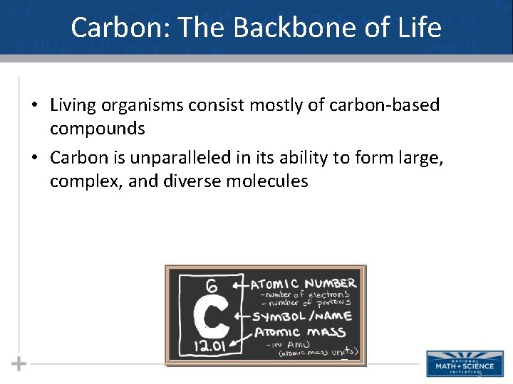 Carbon The Molecular Diversity of Life I Importance