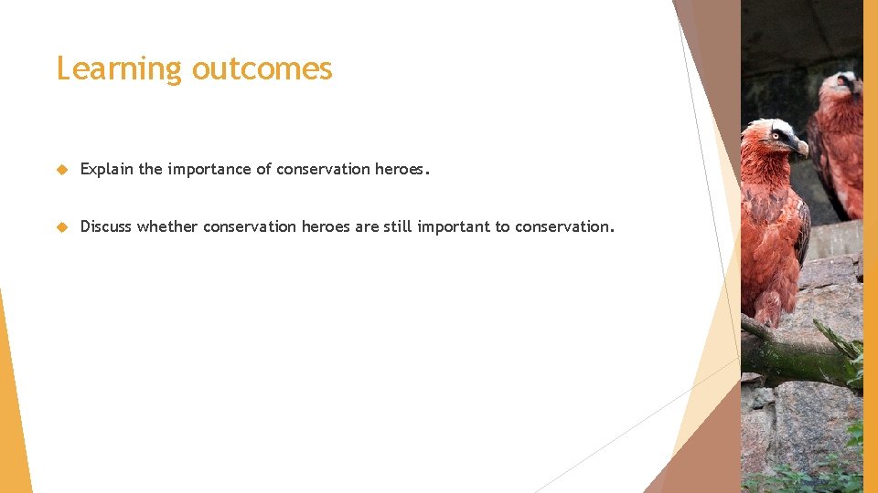 No More Heroes BI 4914 Zoos Conservation Learning