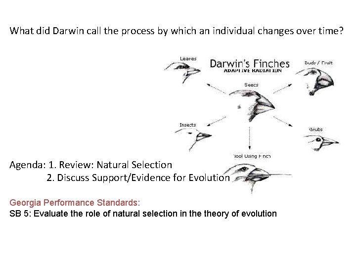 Final Stretch Who was Charles Darwin HW Begin