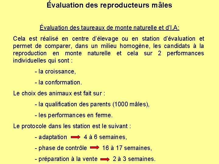 Licence professionnelle DVPE Promotion 20052006 La slection bovine