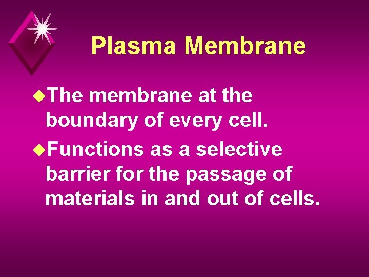 Chapter 6 Membrane Structure and Function Plasma Membrane