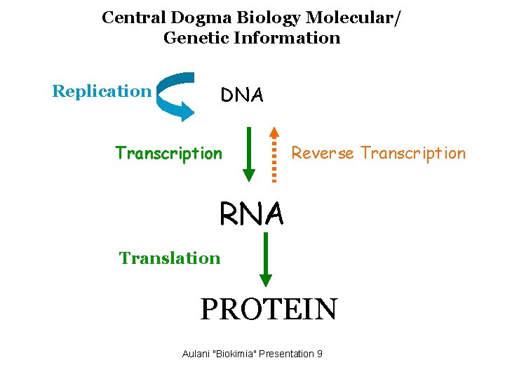 NUCLEIC ACID Aulanniam indra Wibowo Biochemistry Laboratory Chemistry