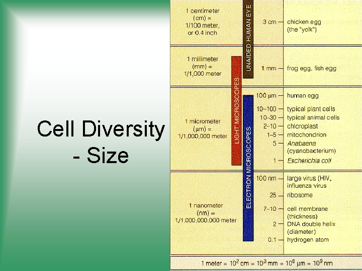 Warm Up Write one paragraph to describe how