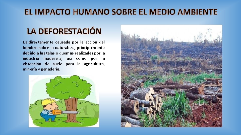 EL IMPACTO HUMANO SOBRE EL MEDIO AMBIENTE EL