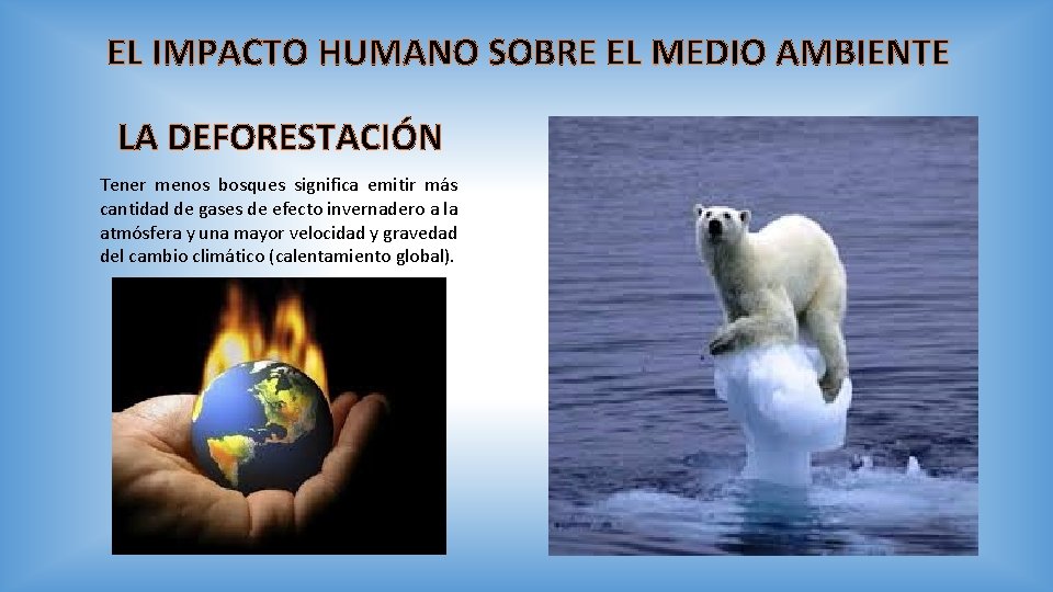 EL IMPACTO HUMANO SOBRE EL MEDIO AMBIENTE EL