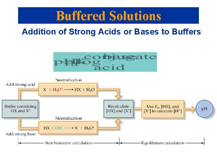 The Common Ion Effect The solubility of a