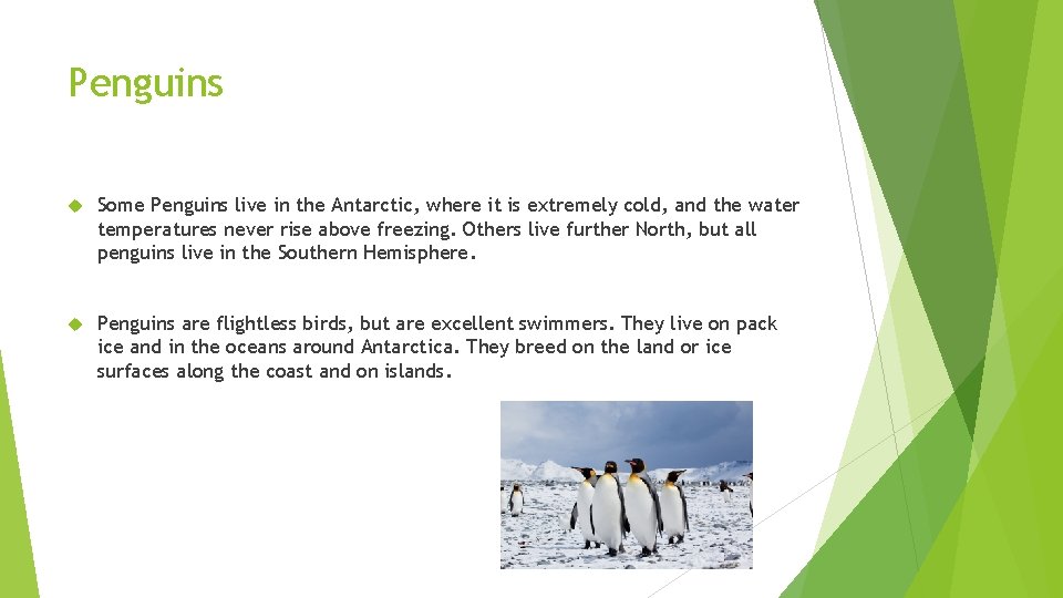 Wednesday th 24 February LO To recognise how