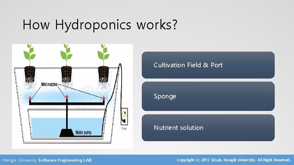 Dataponics Hongik University Software Engineering Lab Hongik University