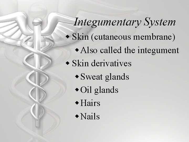 Ch 4 Skin and Body Membranes Integumentary System