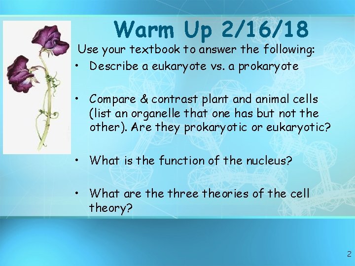 Basic Structure of a Cell 1 Warm Up
