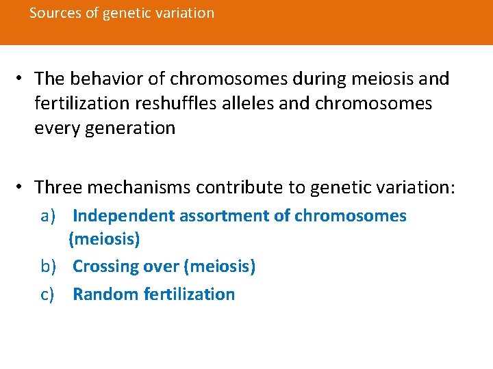 Meiosis and Variation Image from about com meiosismetaphase1