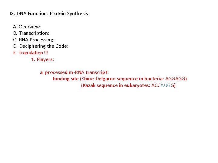 IX DNA Function Protein Synthesis A Overview B