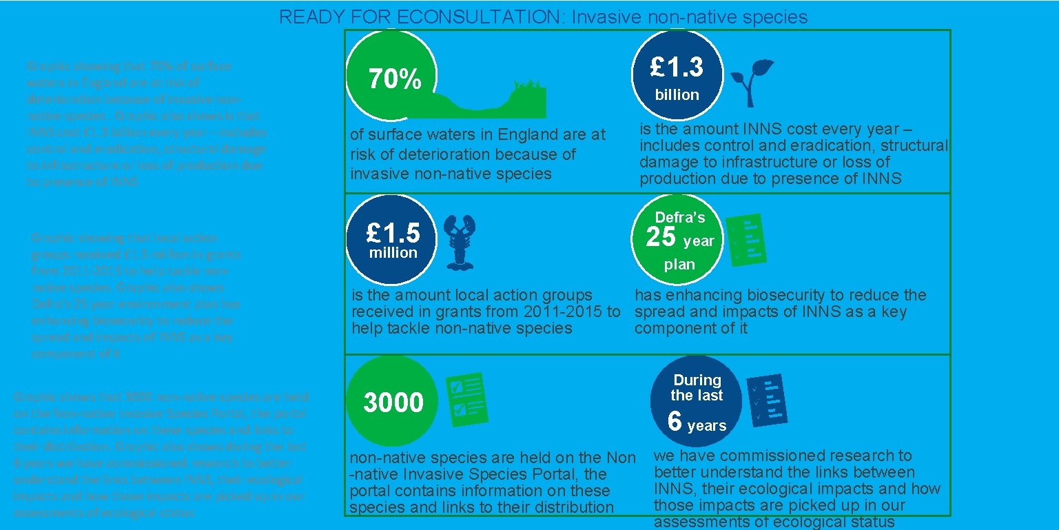 Infographic template This template has been designed to