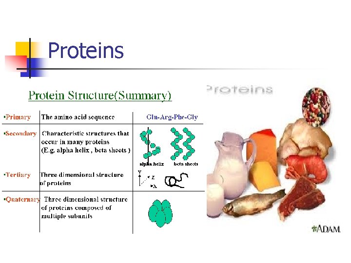 ORGANIC MOLECULES Carbohydrates CARBOHYDRATES n n n ELEMENTS