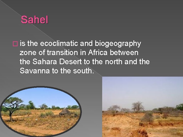 Africa By Jack Bartlett Sahara It is the