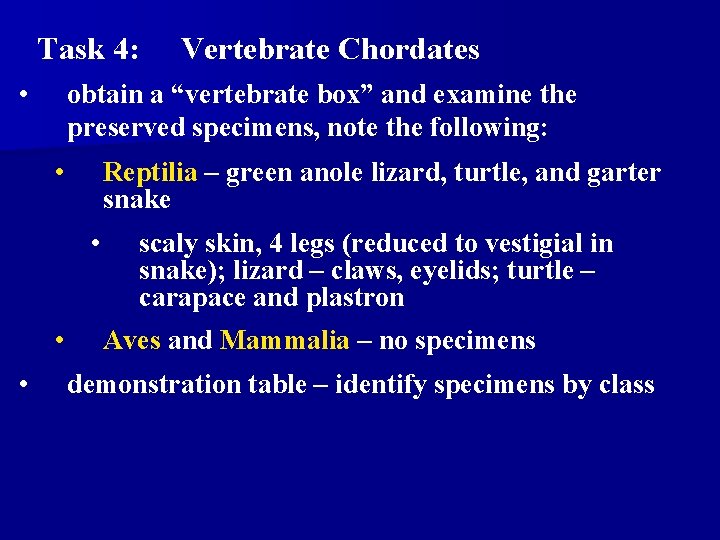 Lab 8 Echinoderms and Chordates Task 1 Phylum