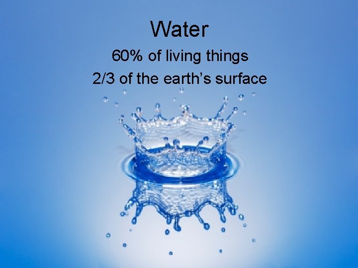 The role of water describe how hydrogen bonding