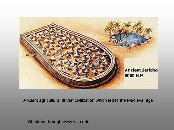 Environmental History Every Civilization Contributed Ancient ...