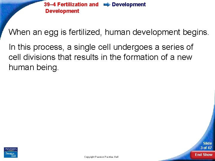 Biology Slide 1 of 47 Copyright Pearson Prentice