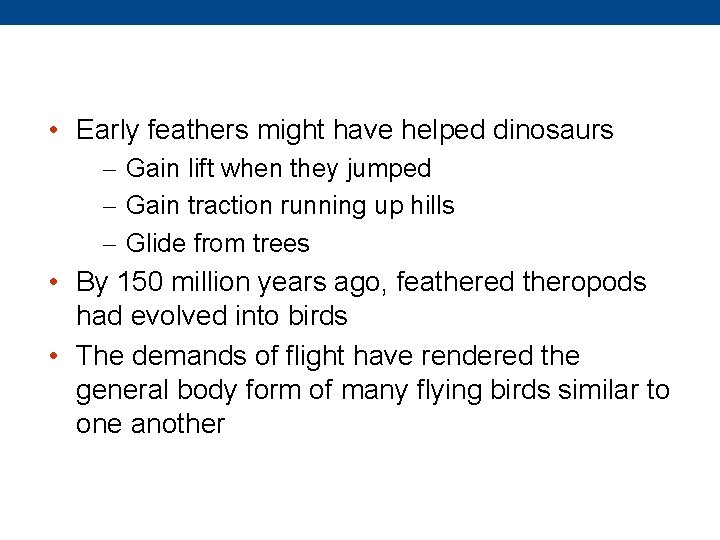 Chapter 34 The Origin and Evolution of Vertebrates