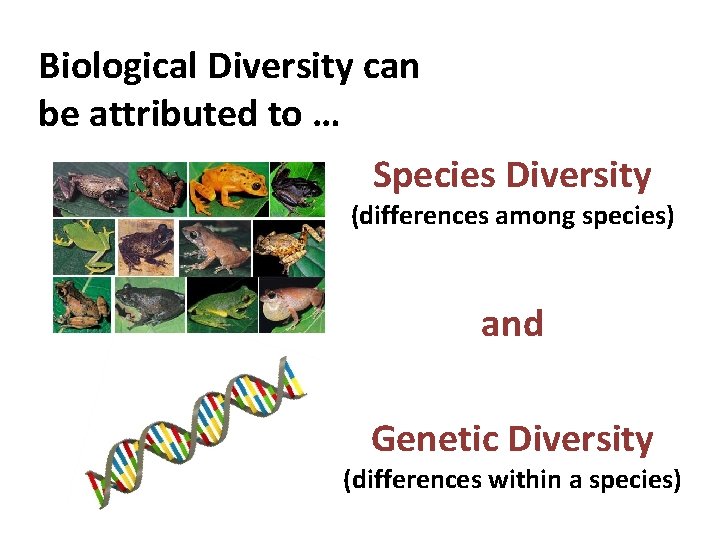 EVOLUTION The process by which living organisms are