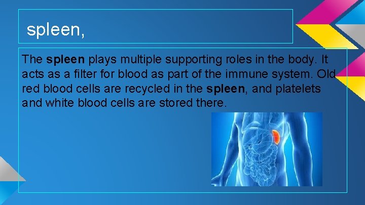 IMMUNE SYSTEM NAME SABRINA NOVOA AND MELVIN OLEA