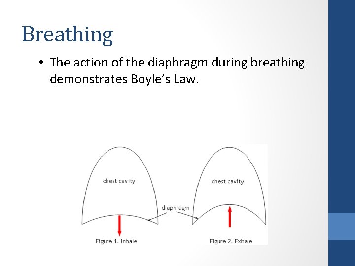 PressureVolume Relationship Boyles JTube Experiment 1662 Weight of