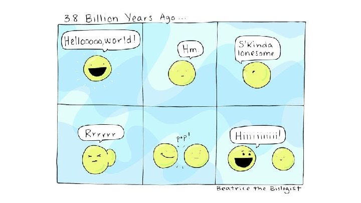 Cell Division Comics Using abstraction to represent a