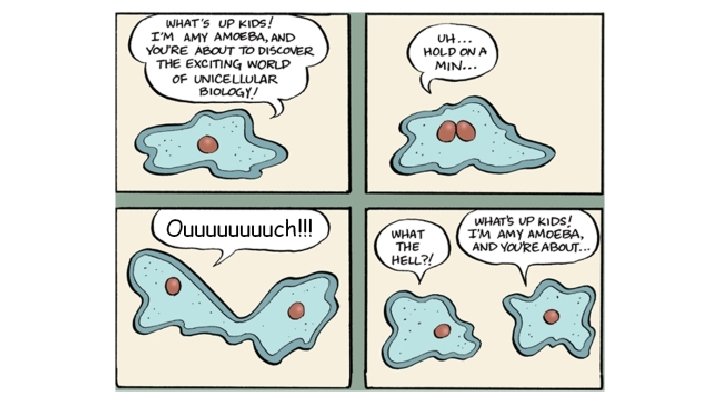Cell Division Comics Using abstraction to represent a