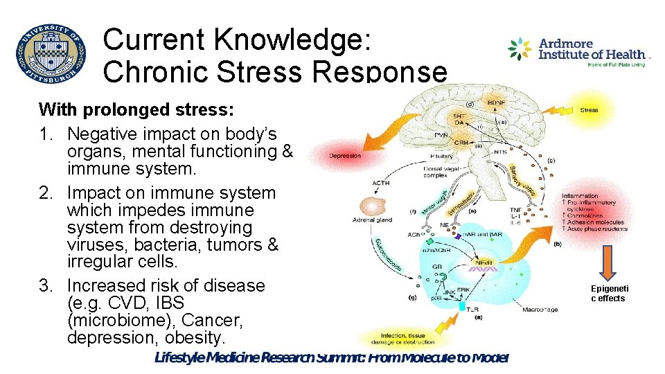 StressResilienceMindfulness Overview Prioritized Research Eva Szigethy ...
