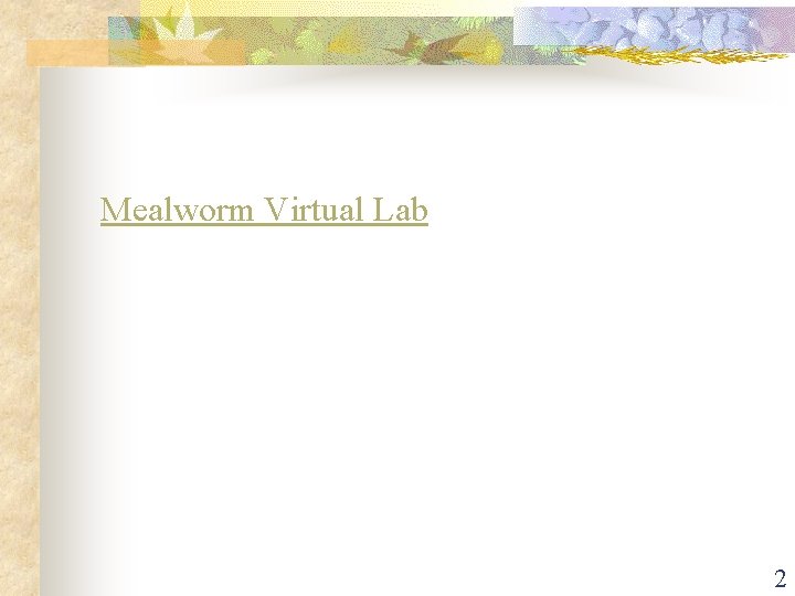 The Scientific Method 1 Mealworm Virtual Lab 2