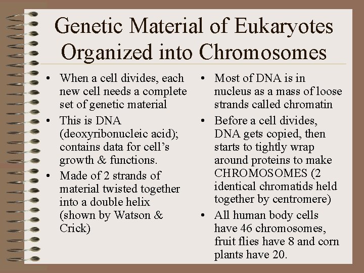 CELL DIVISION BIG IDEA organisms grow reproduce maintain