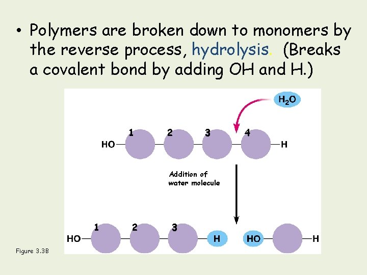 The Chemical Building Blocks of Life Organic Chemistry