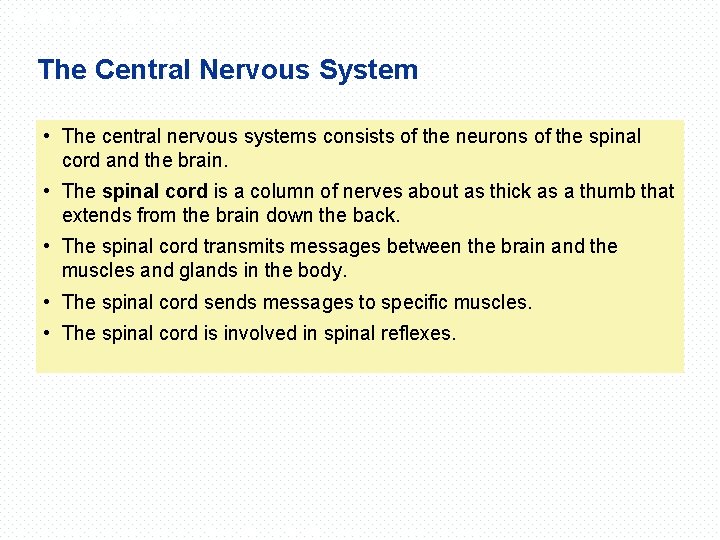 Biology and Behavior Neurons The nervous system has