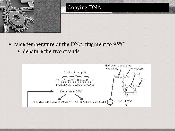 Applications Bio MEMS CSE 495595 Intro to Micro