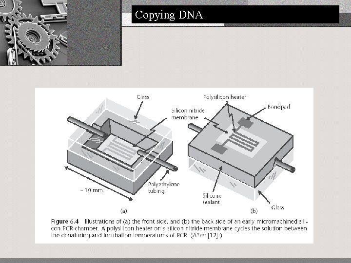 Applications Bio MEMS CSE 495595 Intro to Micro