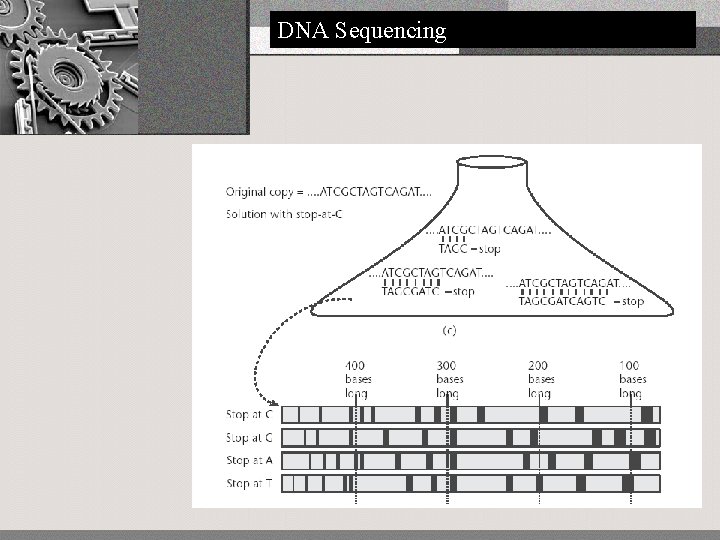 Applications Bio MEMS CSE 495595 Intro to Micro