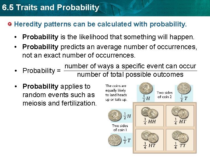 6 5 Traits and Probability KEY CONCEPT The