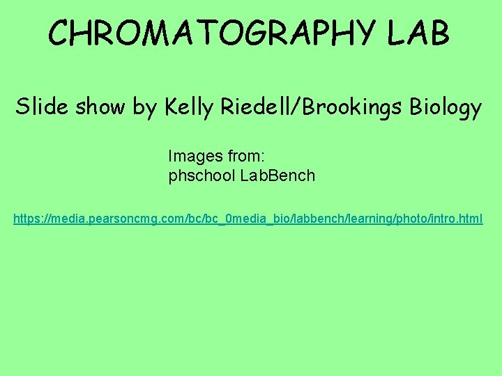 CHROMATOGRAPHY AP BIO LAB 4 A Slide show