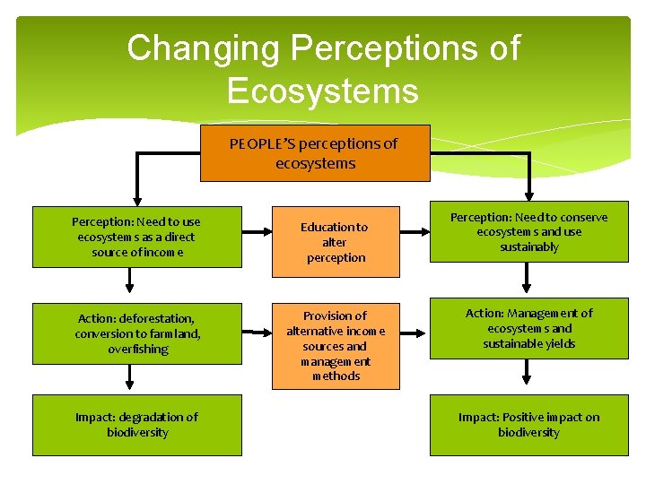The future of biodiversity BIODIVERSITY UNDERTHREAT To look