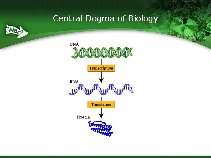 Chapter 1 Introduction to Biomanufacturing Northeast Biomanufacturing ...